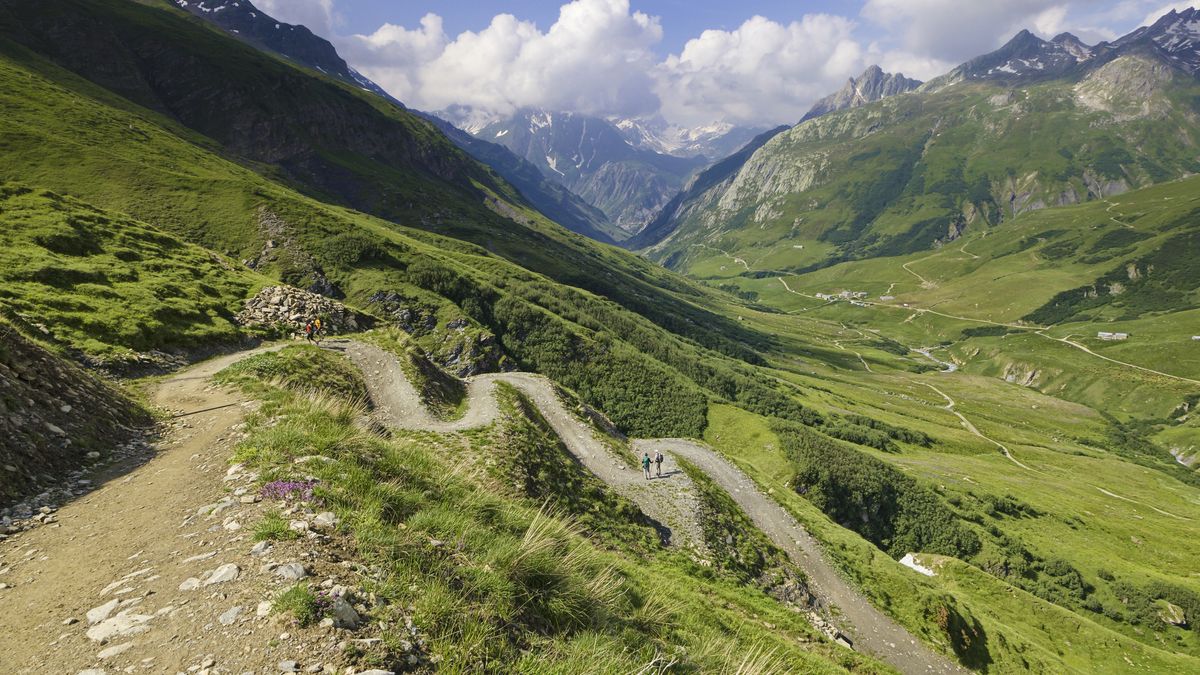 Straight Paths are Not For Me: How I Learned to Listen to My Gut ...
